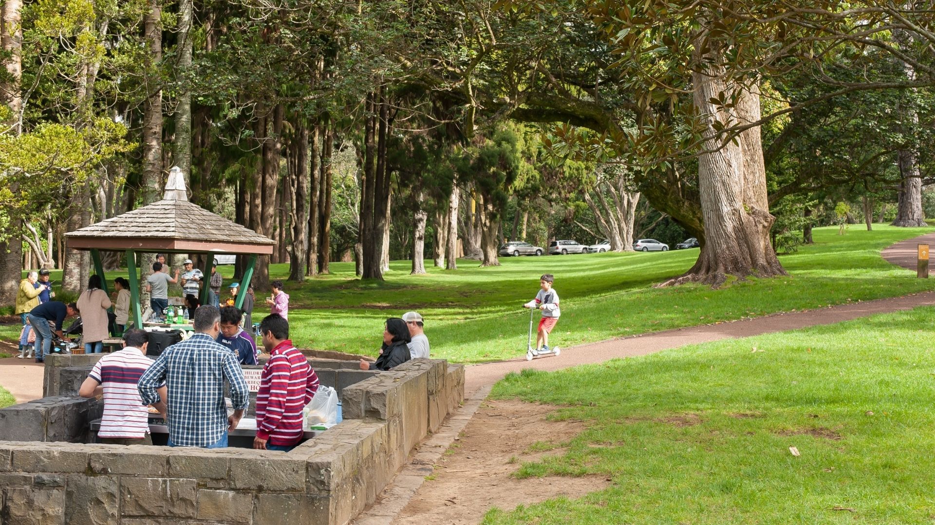 Cornwall Park | Discover: Our top 5 picnic spots | What's On