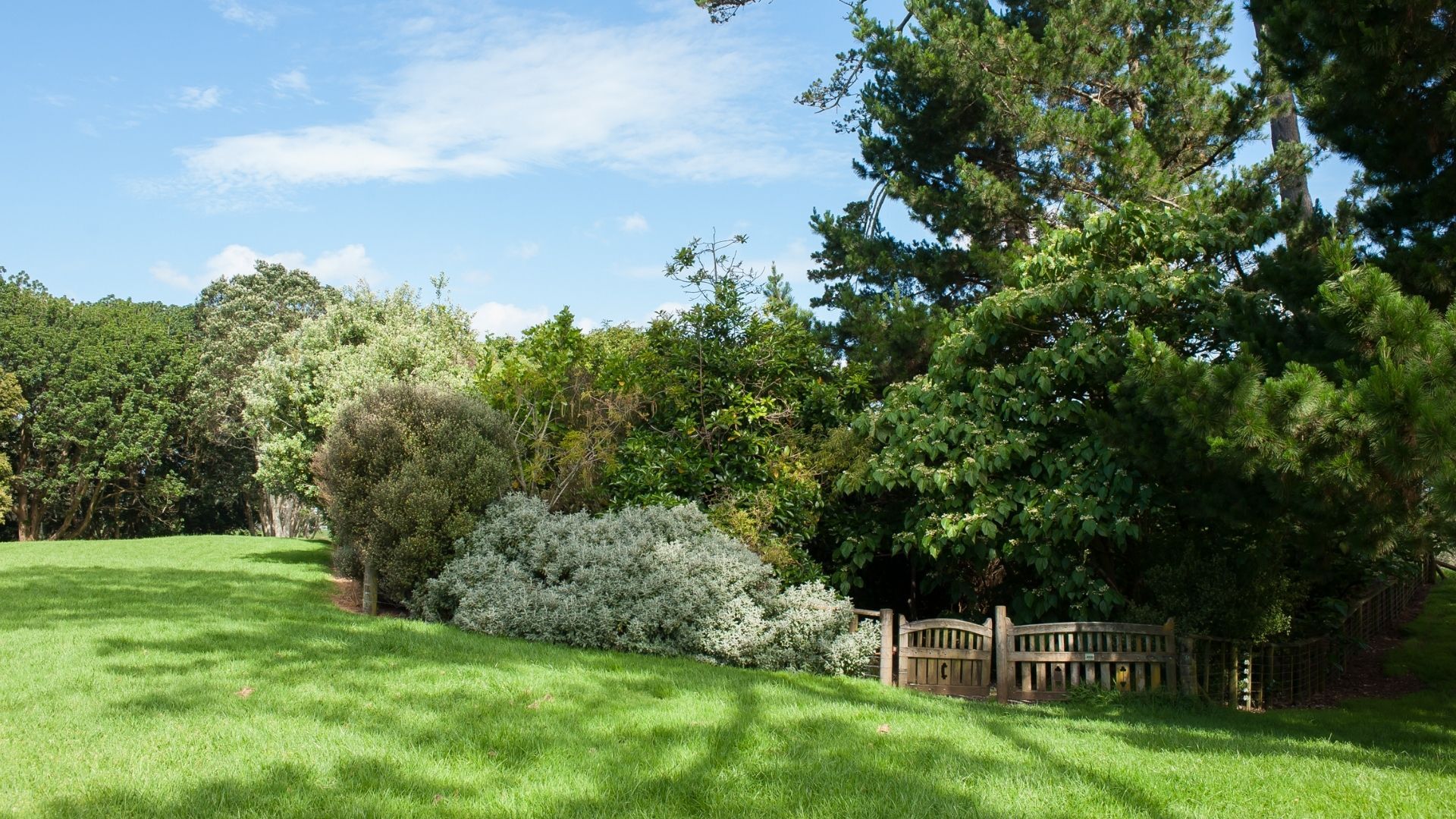 Cornwall Park | Discover: Our top 5 picnic spots | What's On